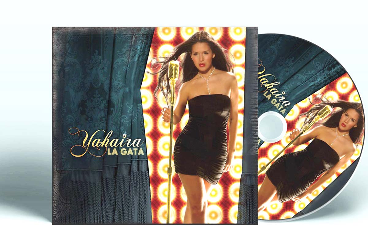 CD Sleeves - DiscMasters